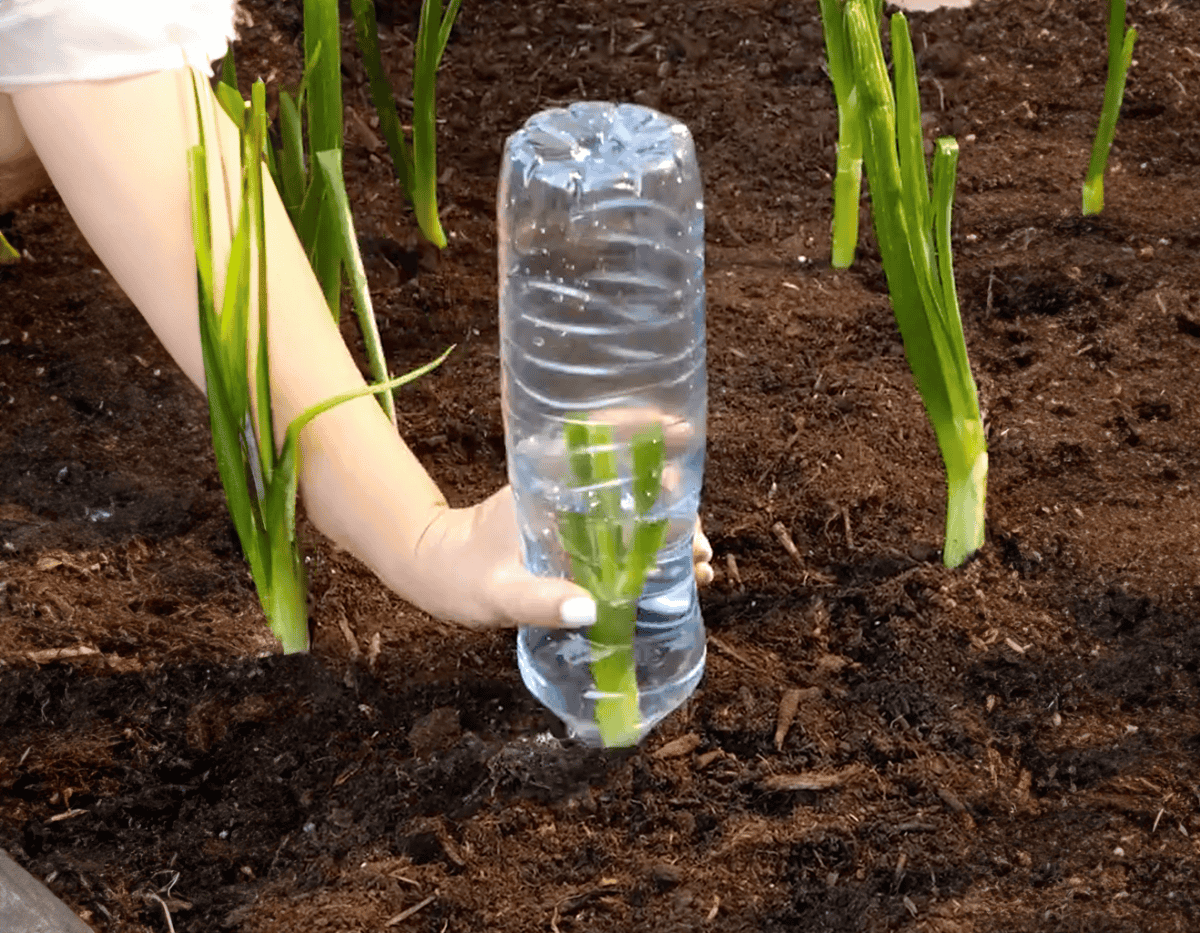 01A – Sales Page Bundle B - Self Sufficient Green House